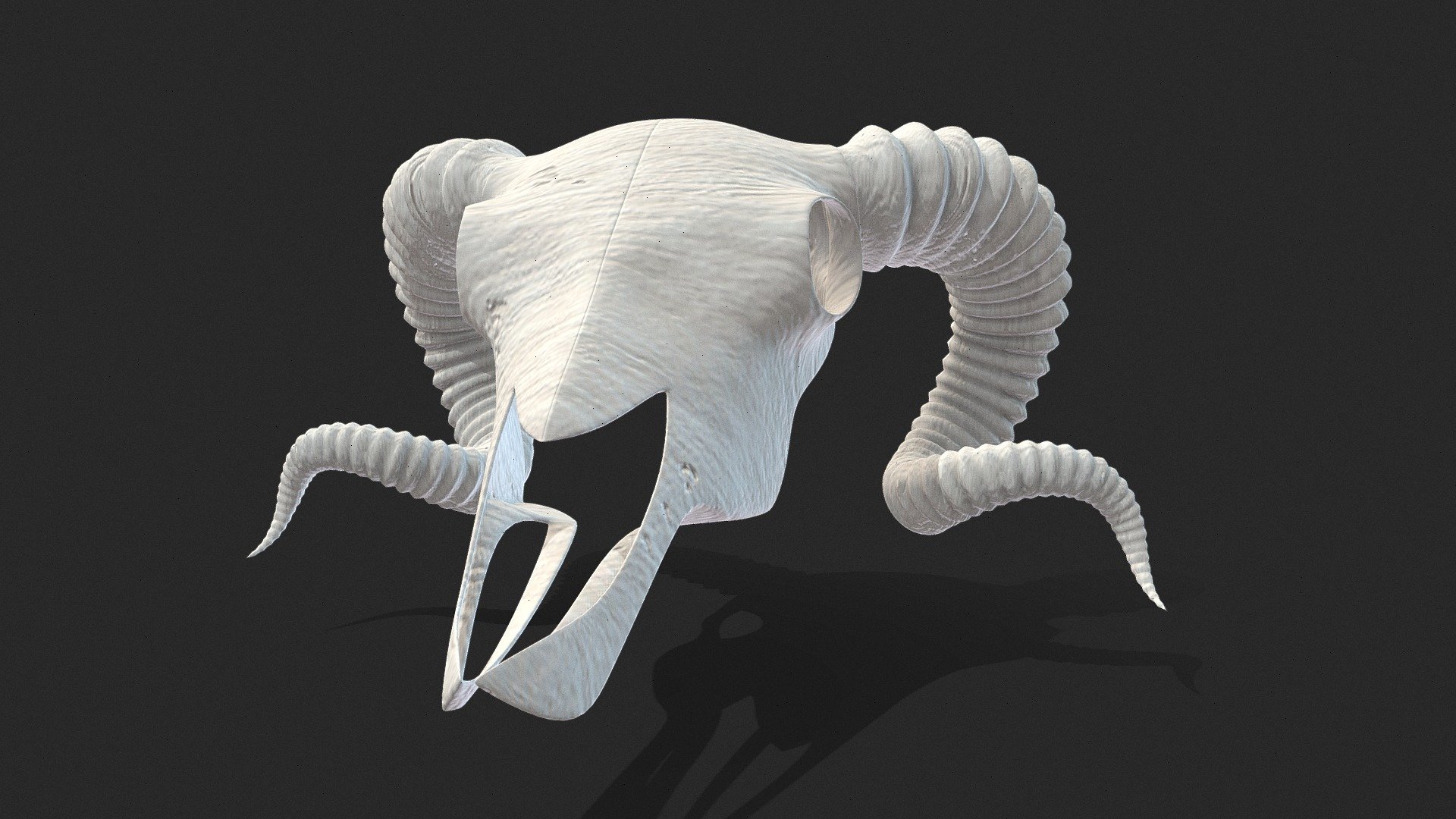 Ram Skull - 3D model by S4Vvy [7472e4b] - Sketchfab