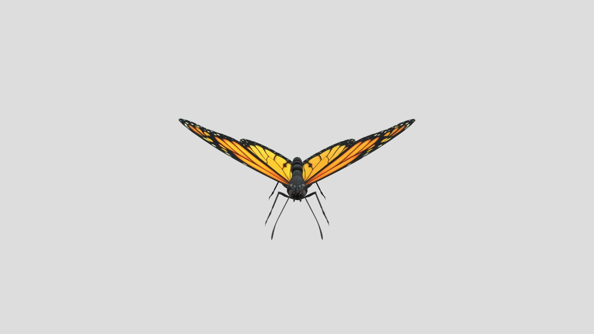 3D Kupu- Kupu - 3D model by albert.efendipohan [7476b0b] - Sketchfab