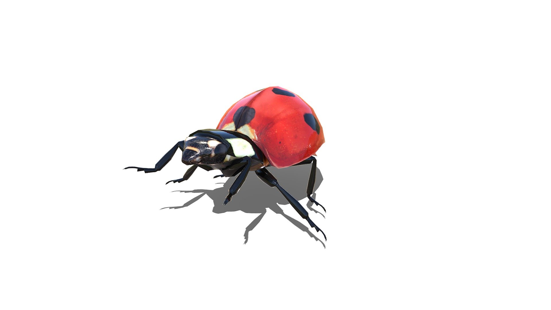 Ladybird / Ladybug - 3D model by Studio Lab (@studiolab.dev) [7478346] - Sketchfab