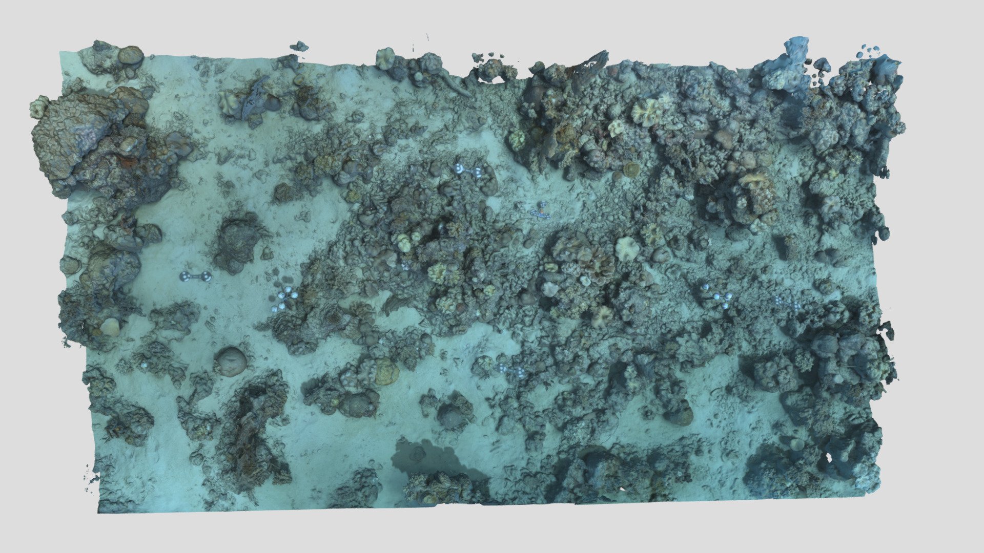 Masig_FR1D_P1_202203 - Download Free 3D model by EcoRRAP (@AIMSEcoRRAP ...