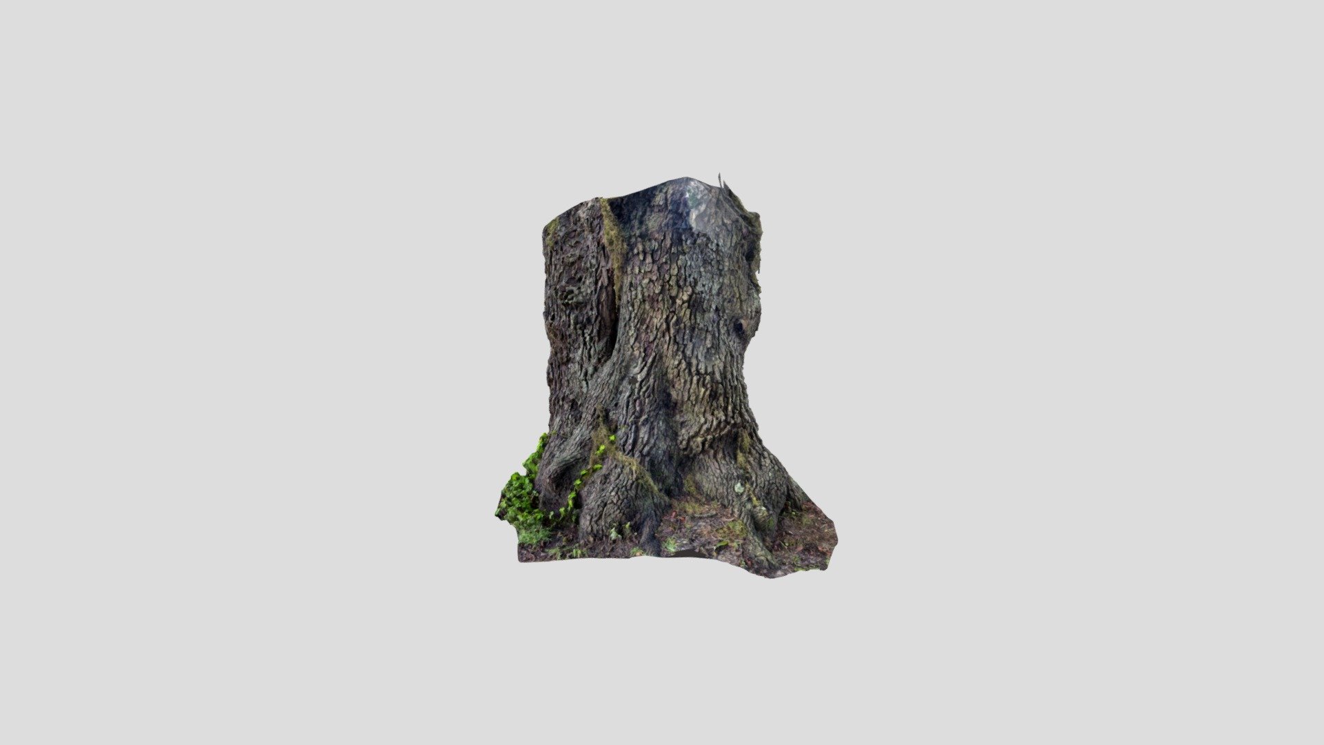 Tree base and Moss - Download Free 3D model by EtherealPsychonaut ...