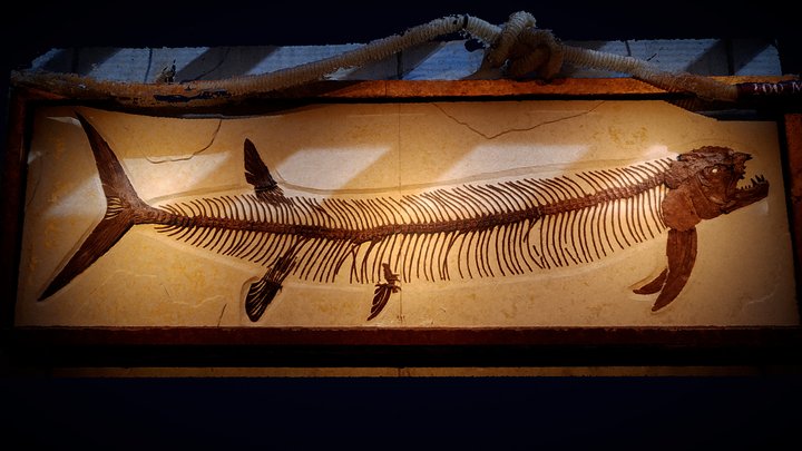 Cosmocaixa 3D models - Sketchfab