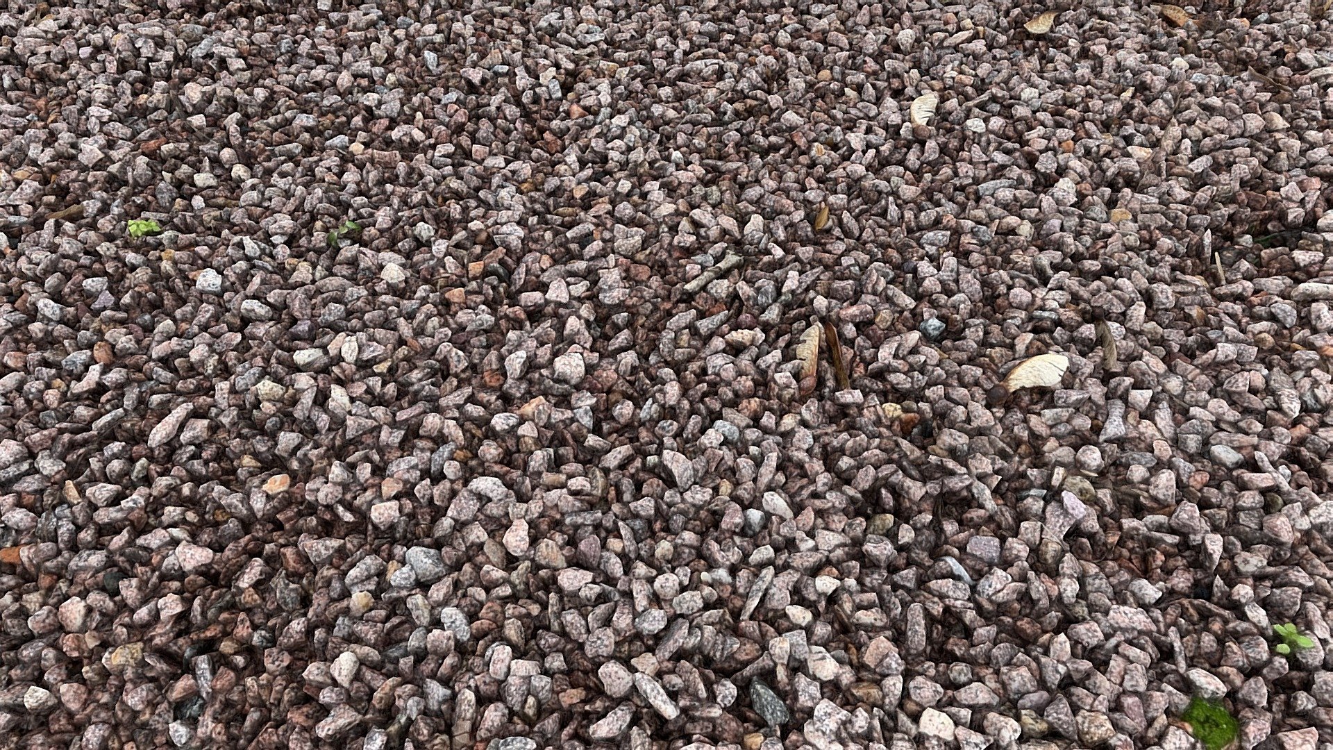 Pebble Material 01 - RAW Scan - Buy Royalty Free 3D model by Modulus ...