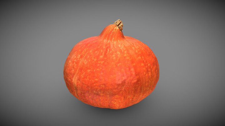 Classic-pumpkin 3D models - Sketchfab
