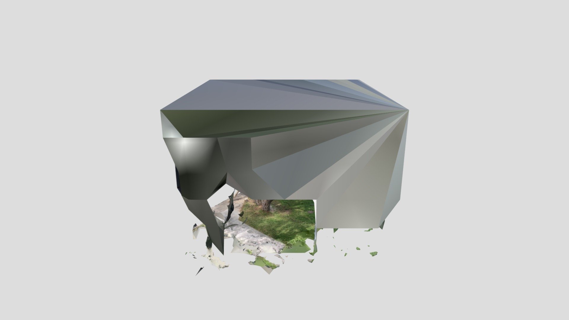 Pohutukawa Devonport - Download Free 3D model by peter.allely [74aa2f4 ...