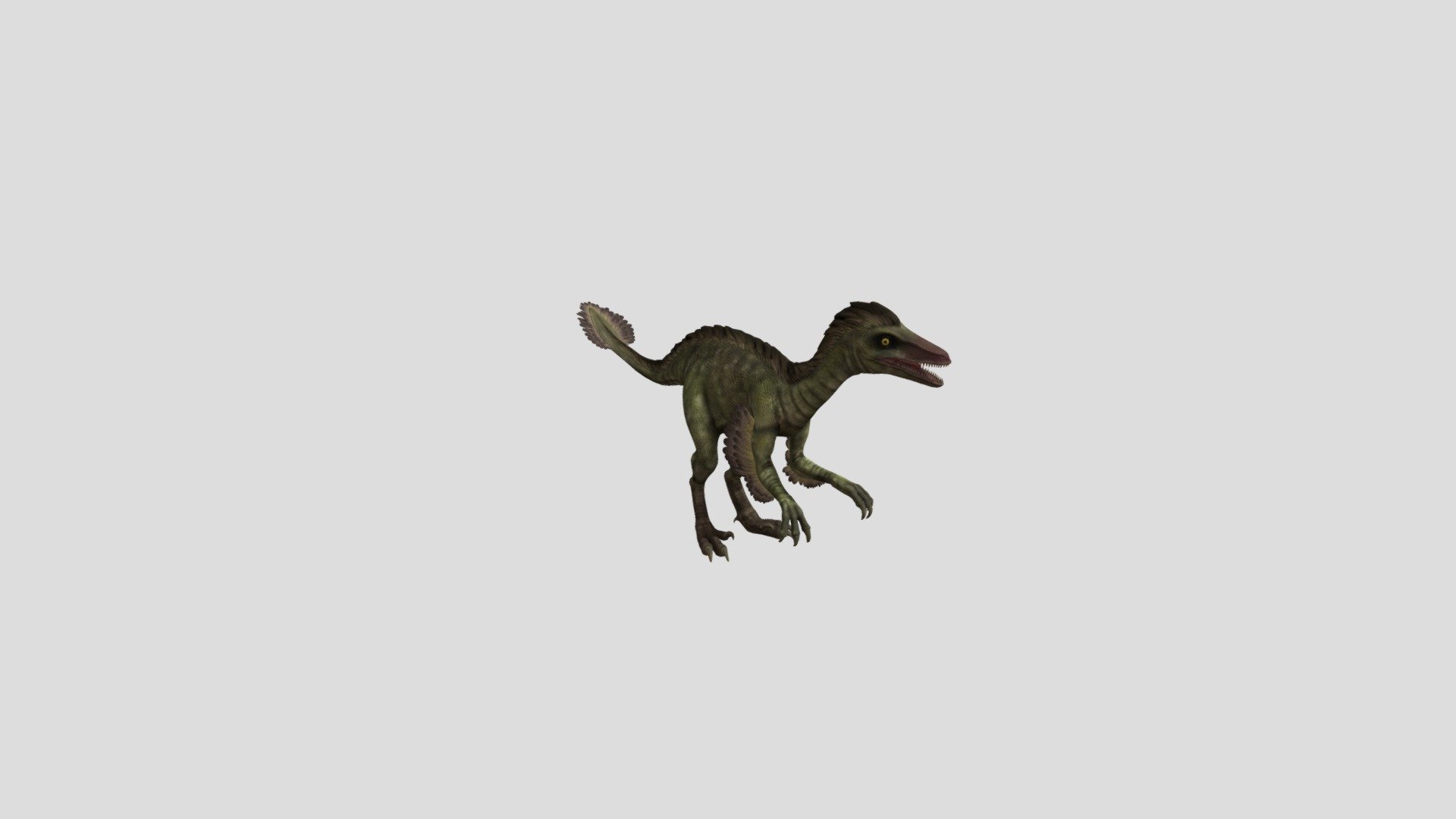 Troodon - Download Free 3D model by budiastuti1271 [74adc44] - Sketchfab