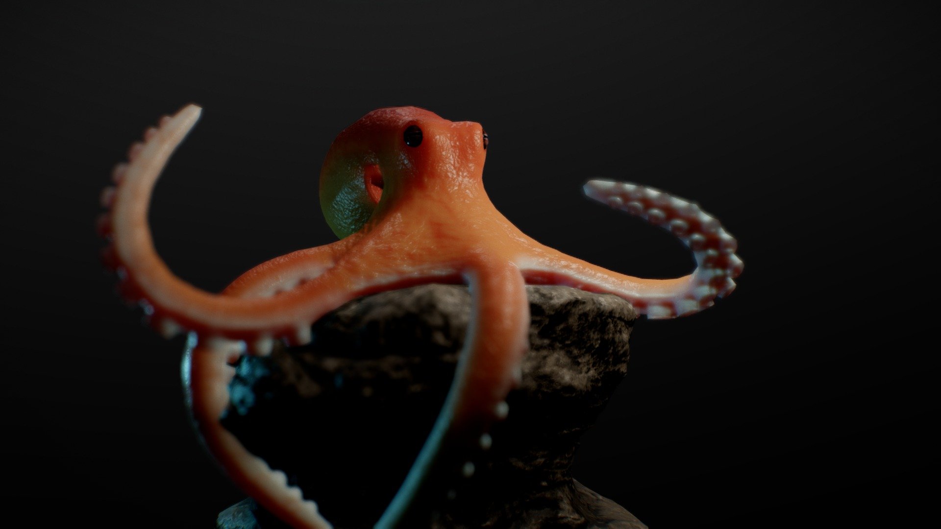 Octopus - Buy Royalty Free 3D model by Ibat [74b0660] - Sketchfab Store