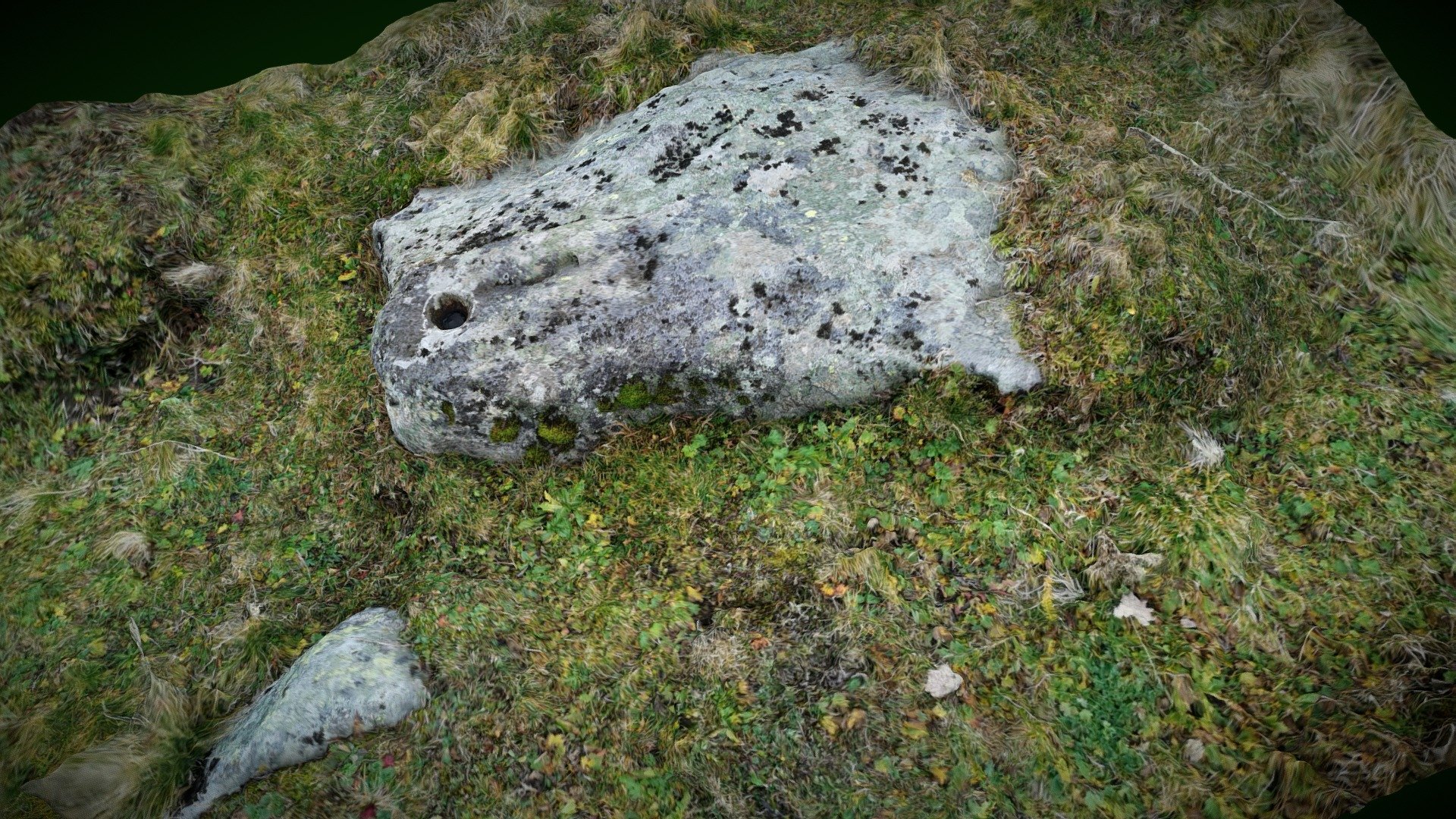 H152.41 - Coppella - Download Free 3D model by archeologya [74ba764 ...