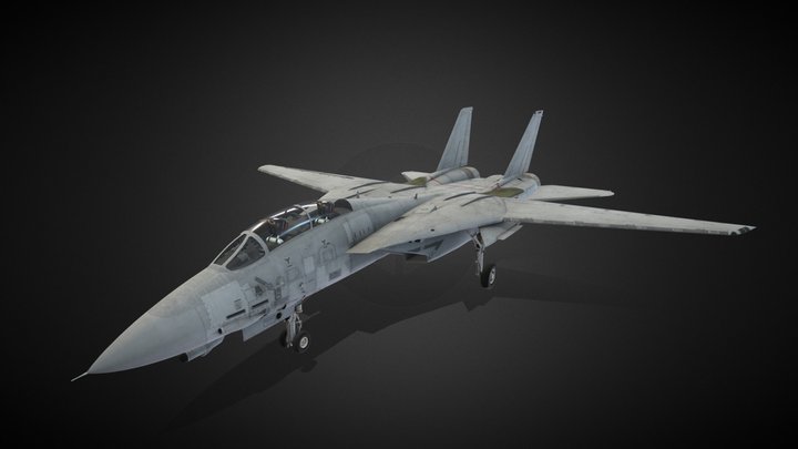F14 3D models - Sketchfab