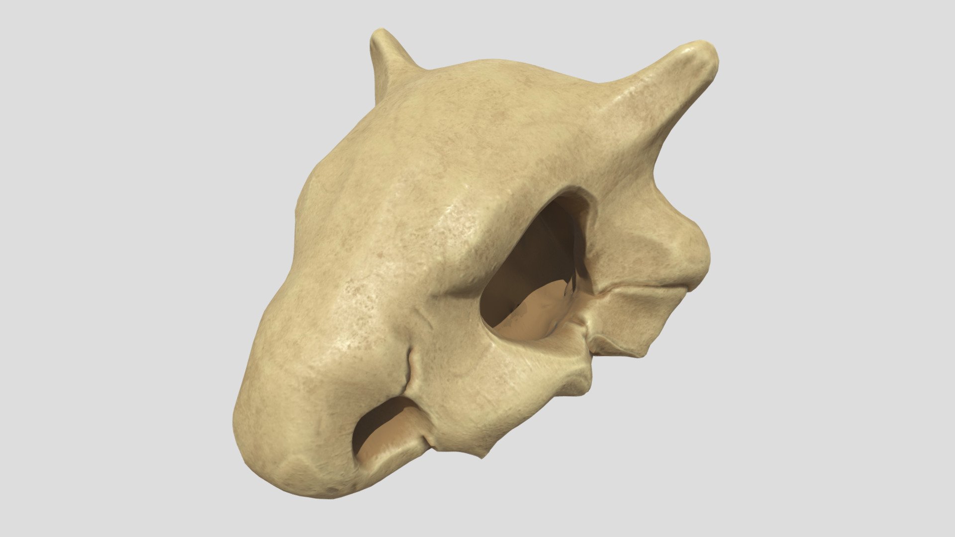 Cubone mom skull - 3D model by ivan alarcon (@capivan) [74c1678 ...
