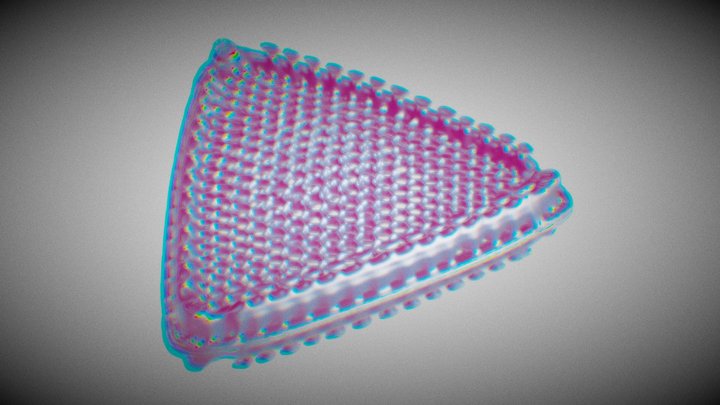 Diatom 3D models - Sketchfab