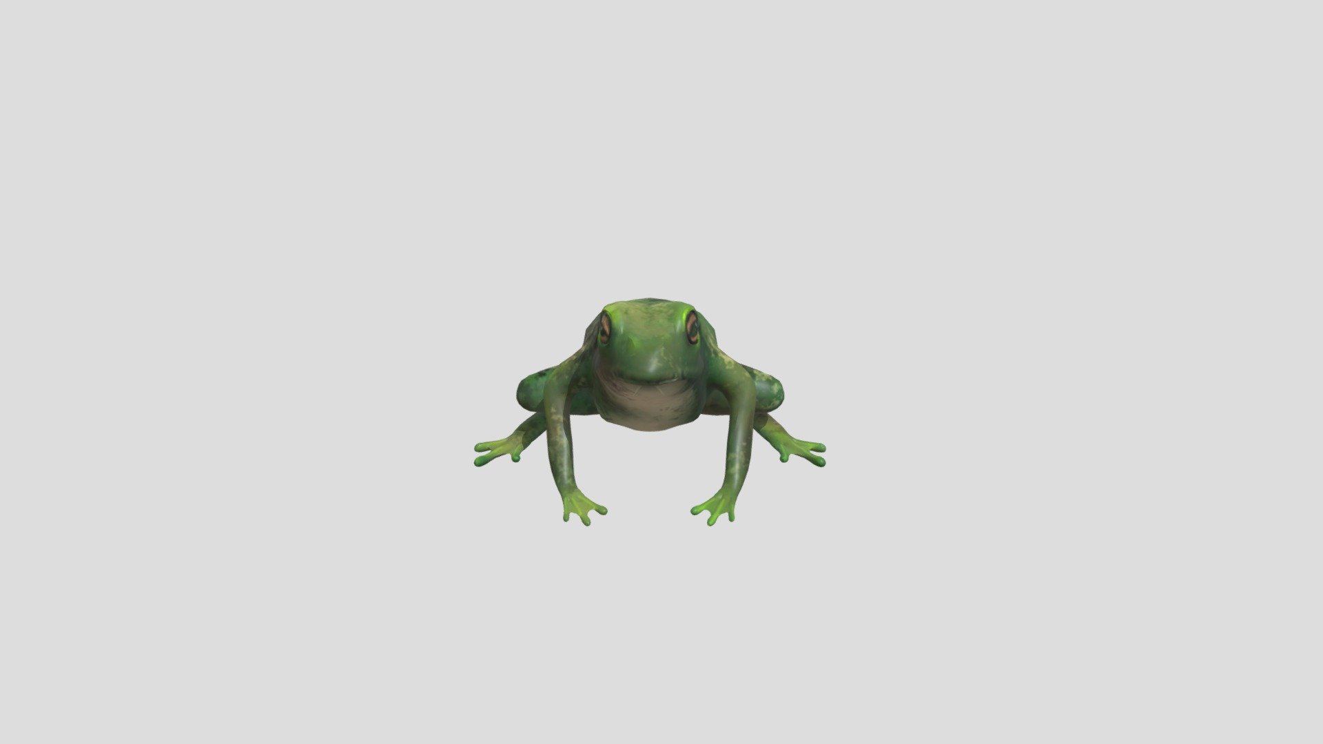 Zaba anim. - 3D model by hana.rehorcikova [74c486f] - Sketchfab
