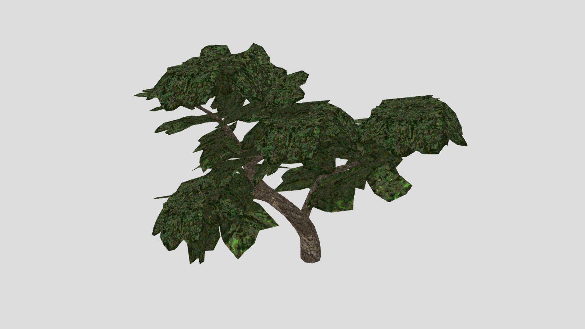 Stylized_ Tree - 3D model by Brandon_Ramirez [74d97b1] - Sketchfab