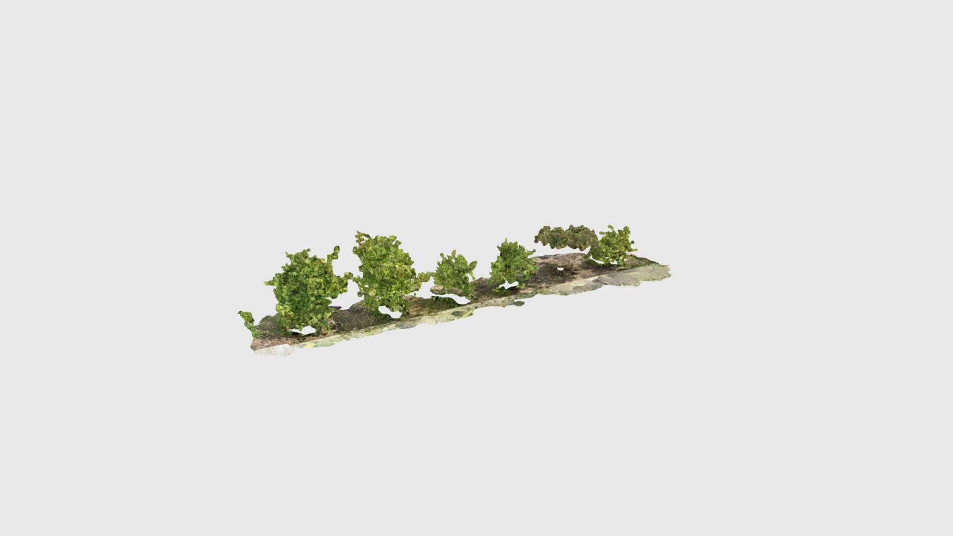 Haie - Download Free 3D model by St.eyquem [74e1adf] - Sketchfab