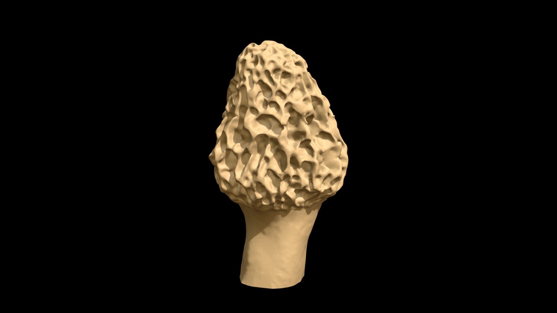 Morel 1 No Supports - Download Free 3D model by kevjumba ...