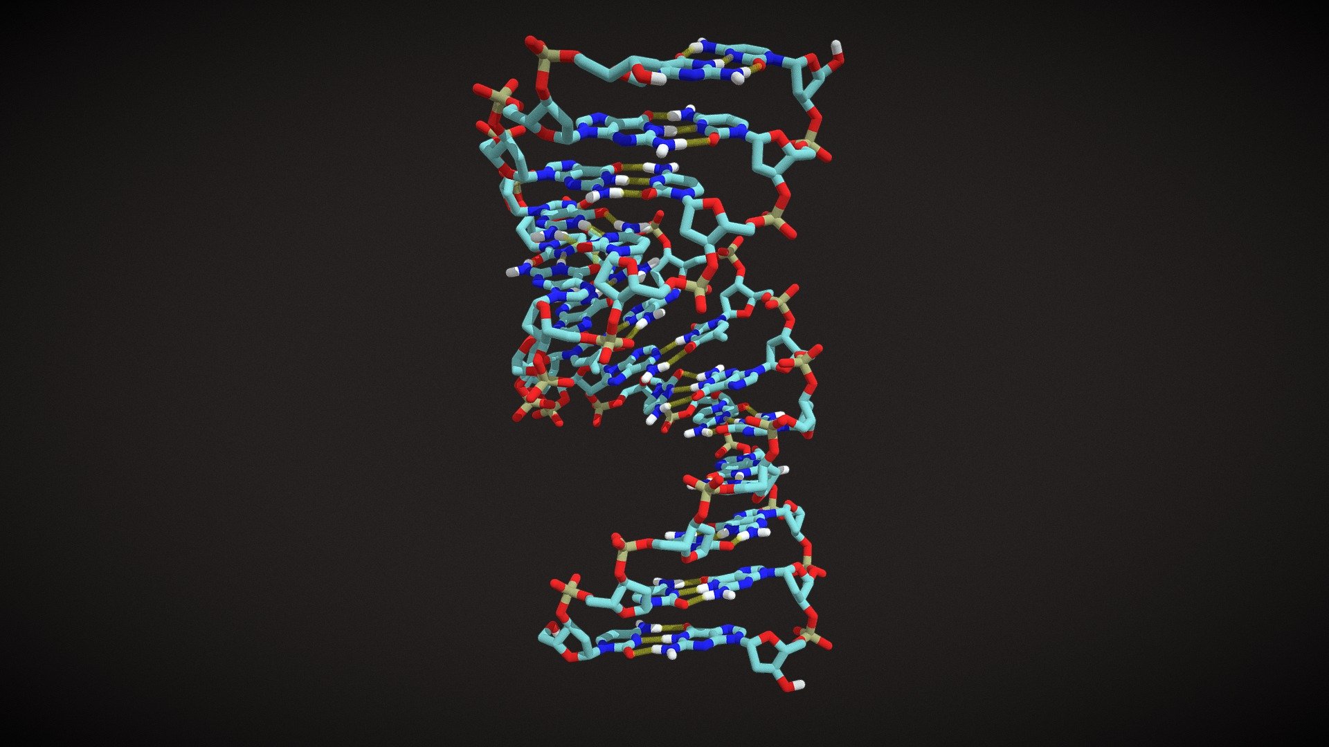 A-DNA, stick model - Download Free 3D model by gvsuchem (@gvsu-chem) [74e4602] - Sketchfab