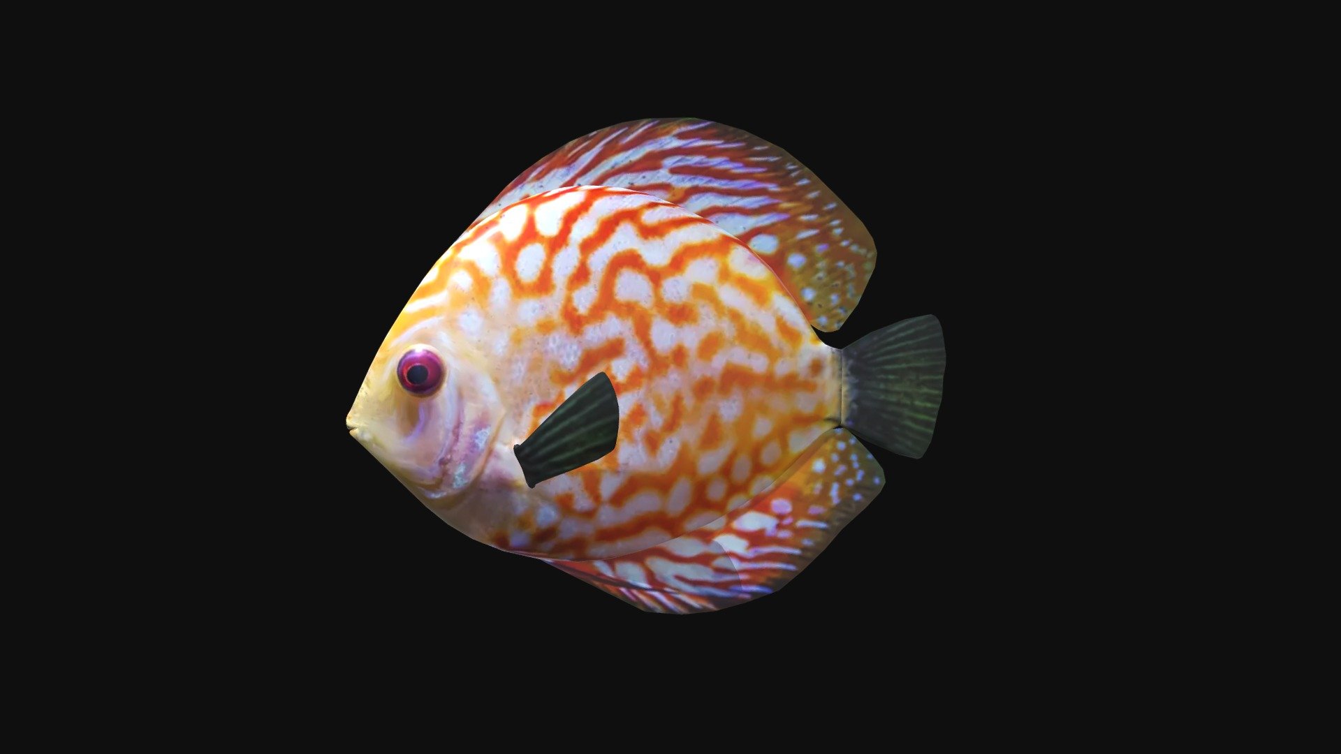 Fish - Download Free 3D model by assetfactory [74e57a9] - Sketchfab