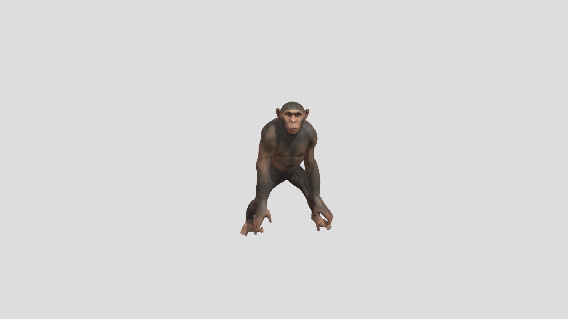 Monkey Dancing - Download Free 3D model by jhinuk [74e7cee] - Sketchfab