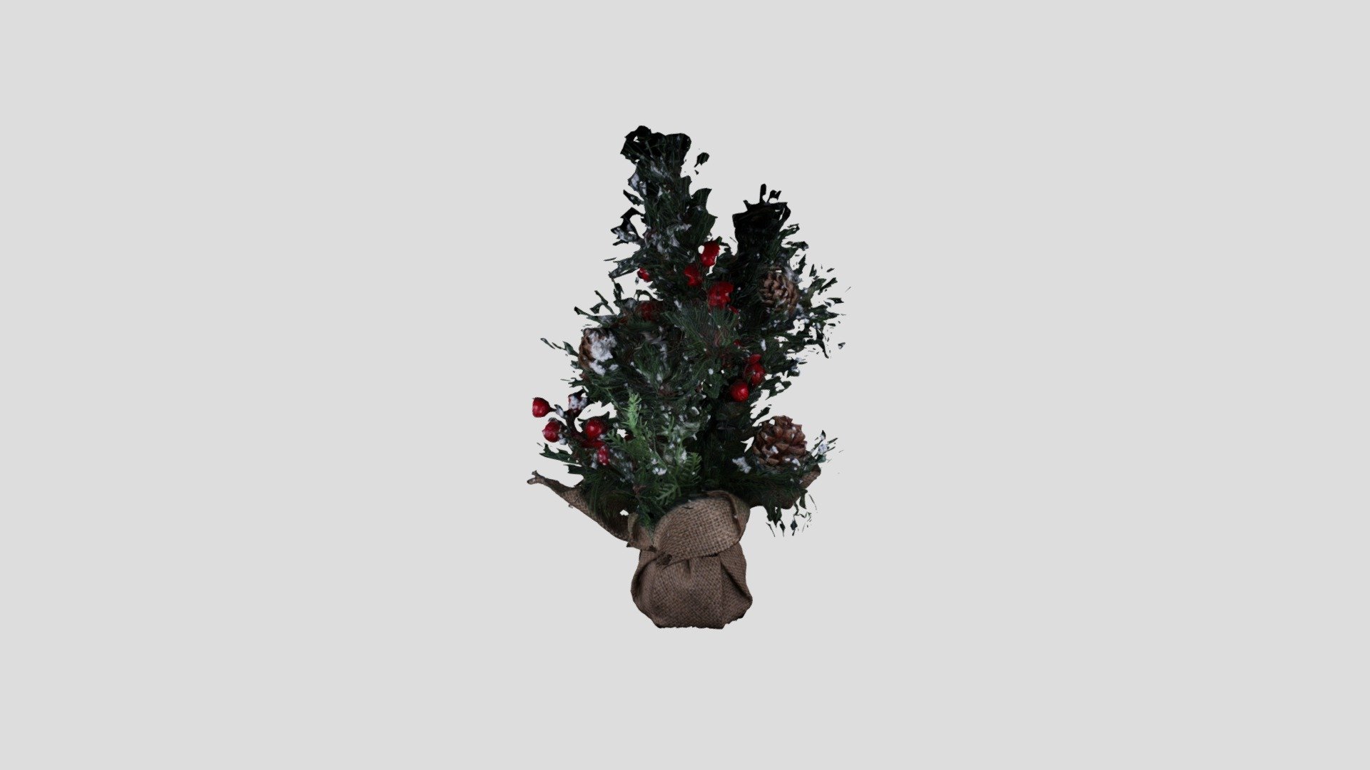 ZEPHYR_TREE_SIDESONLY_PROCESSED - 3D model by kaloyan099 (@kaloyan099 ...