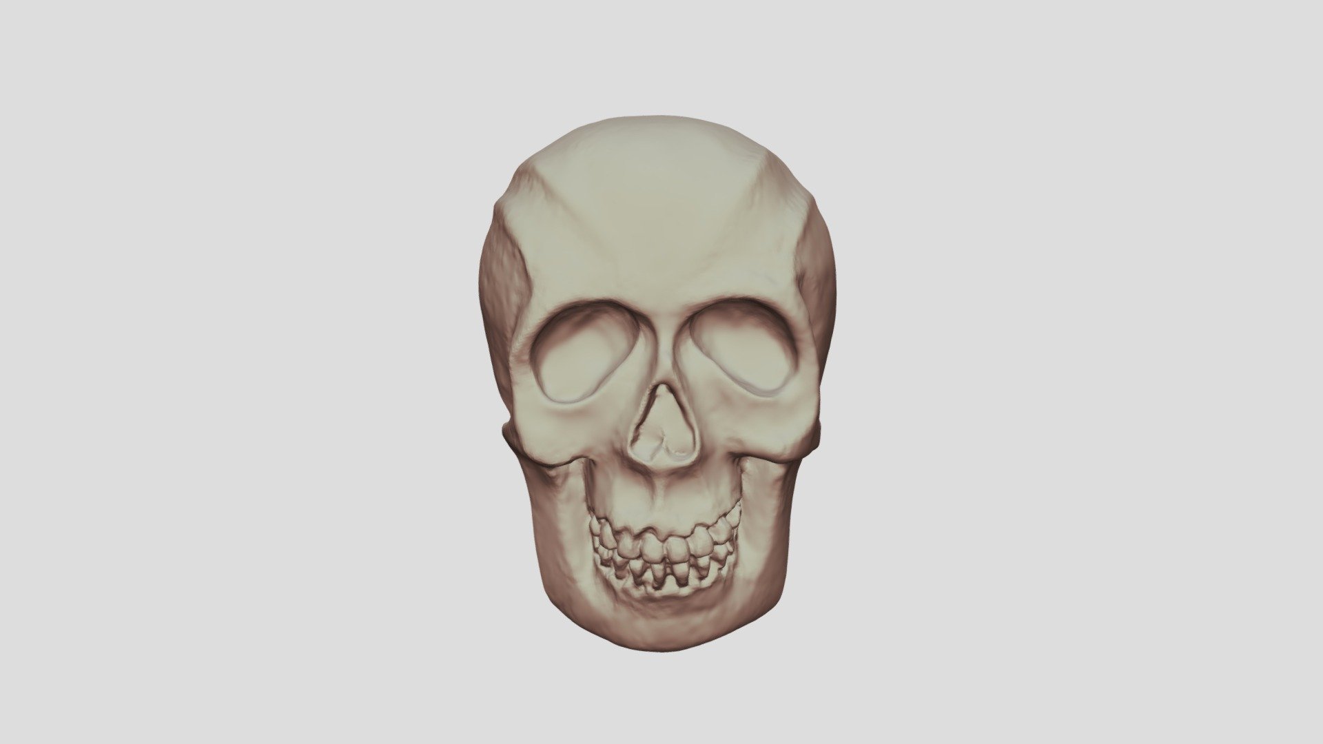 Skull 8" - 3D model by Capture It In 3D (@CaptureMeIn3D) [74eff37 ...