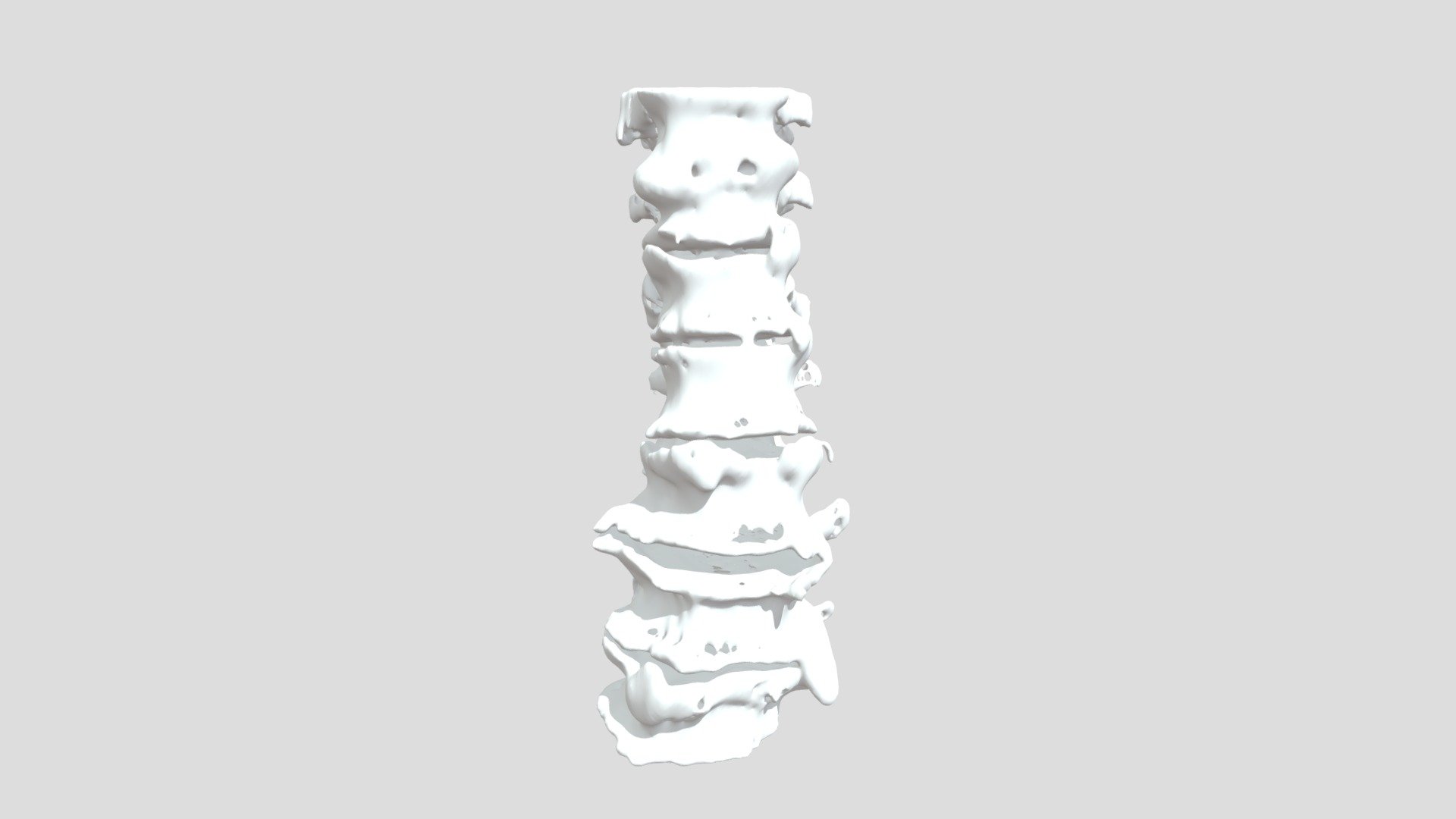 Segment_1 - 3D model by mohamed.maatouk [74f6e17] - Sketchfab