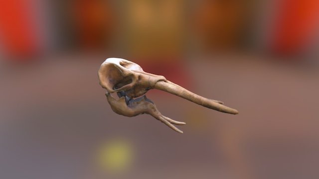 Extinct_animals 3D models - Sketchfab