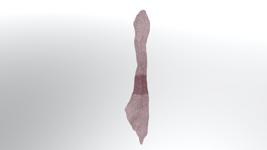 anatomy - lymphatic organs - A 3D model collection by vetanatMunich ...