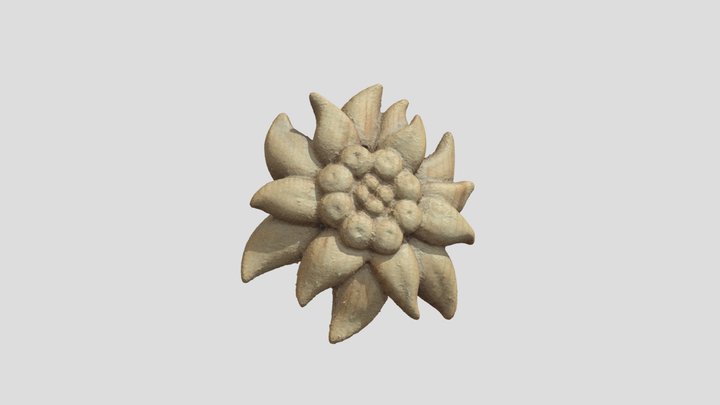 Edelweiss 3D models - Sketchfab