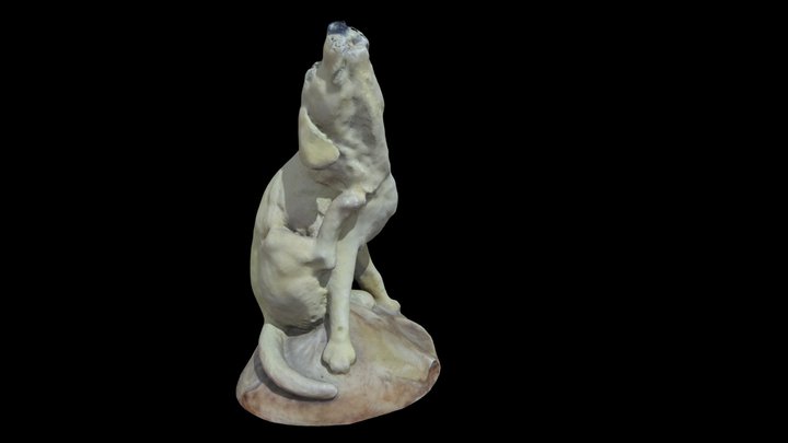 Labrador 3D models - Sketchfab