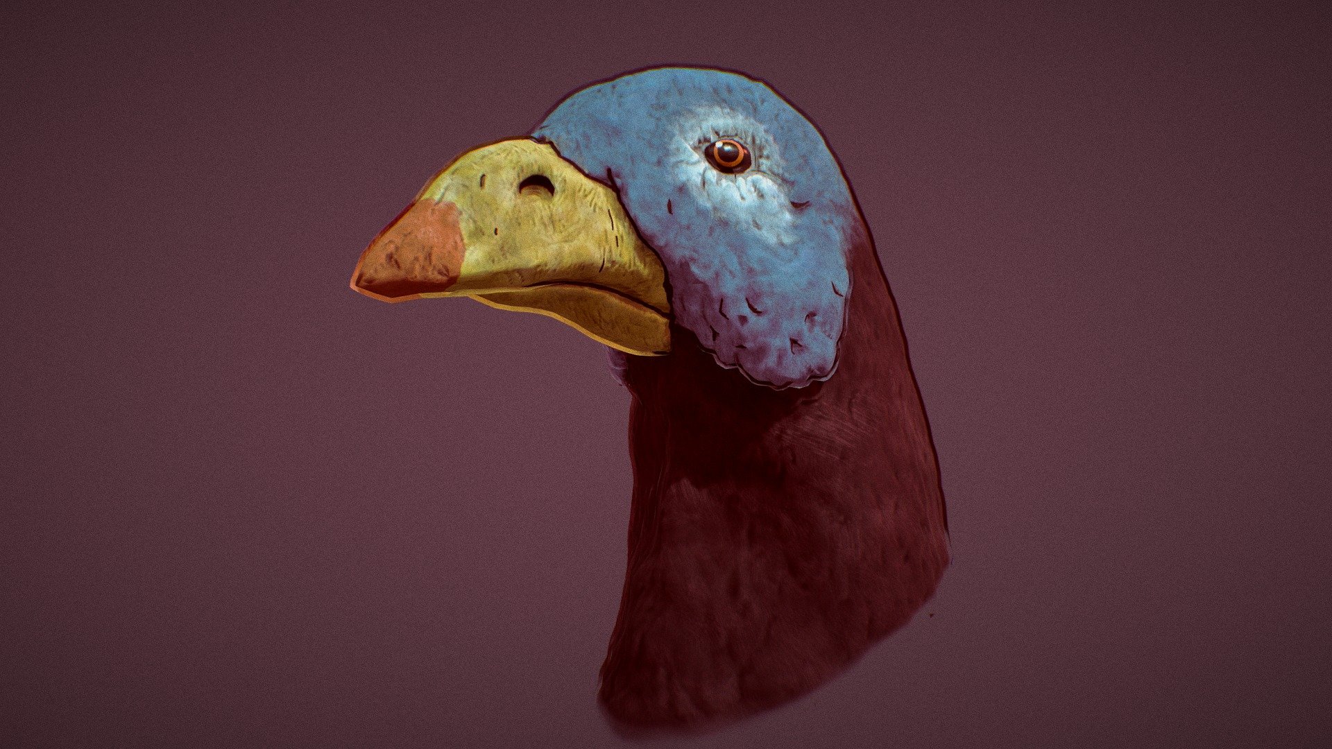 Bird head - Download Free 3D model by andrzejBG [7505519] - Sketchfab