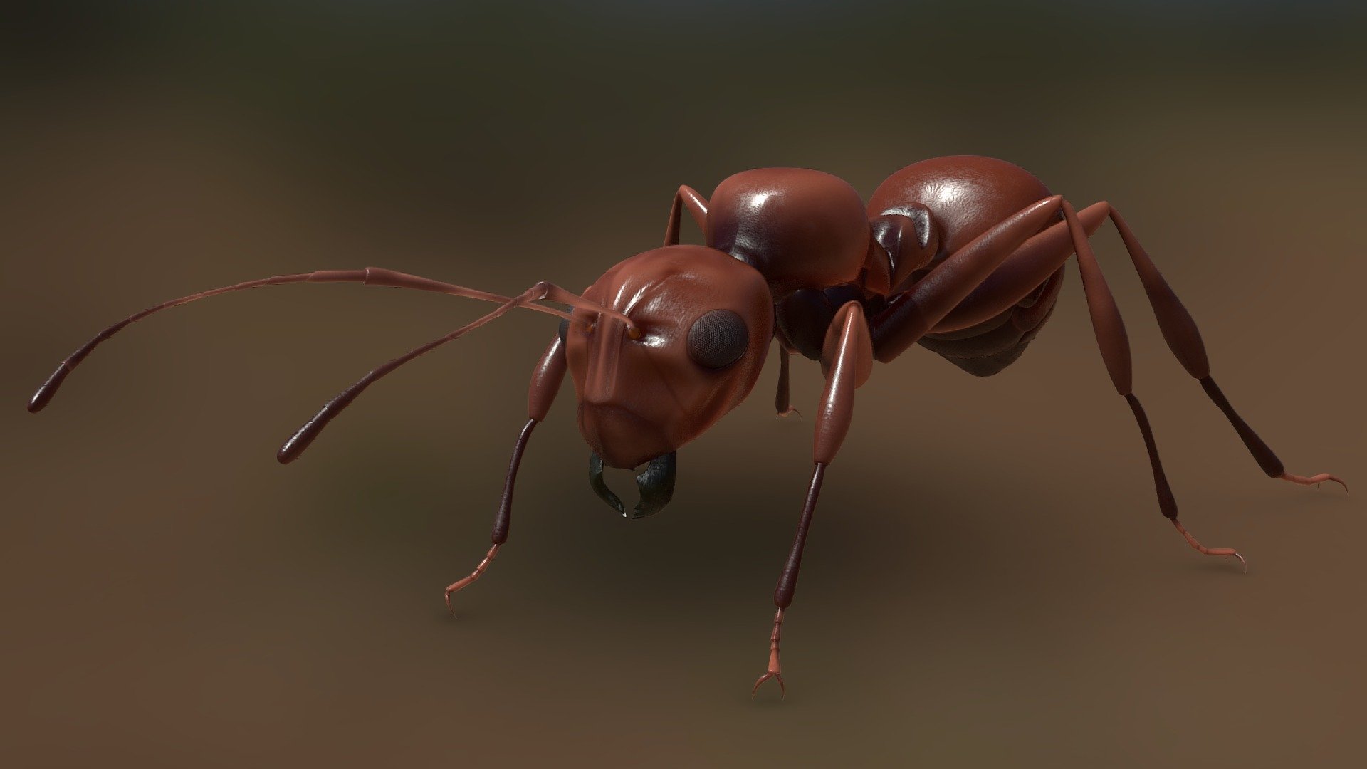 Ant 3D Model - 3D model by Pixelitz [7512f39] - Sketchfab