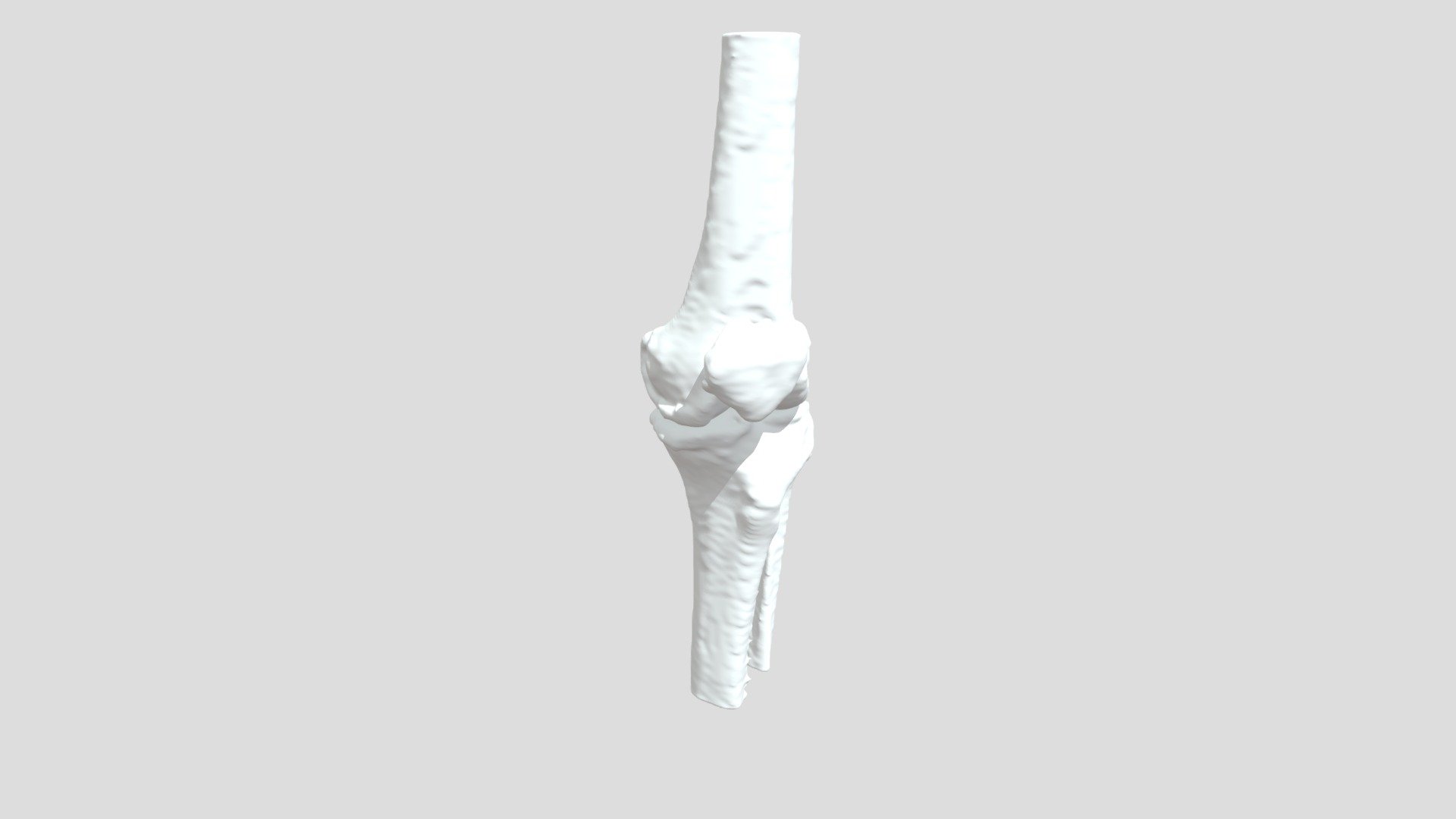 Segmentation Kam Pat Lt Bone - 3D model by curisdata.science [7514084 ...