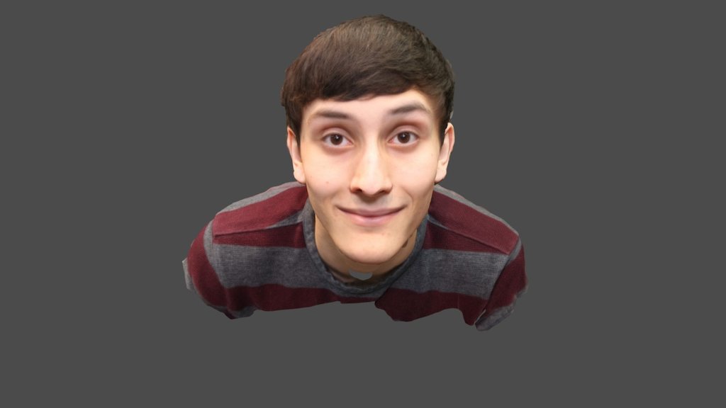 Camera Array Face Test - 3D model by Kevin Falcetano (@falce003 ...