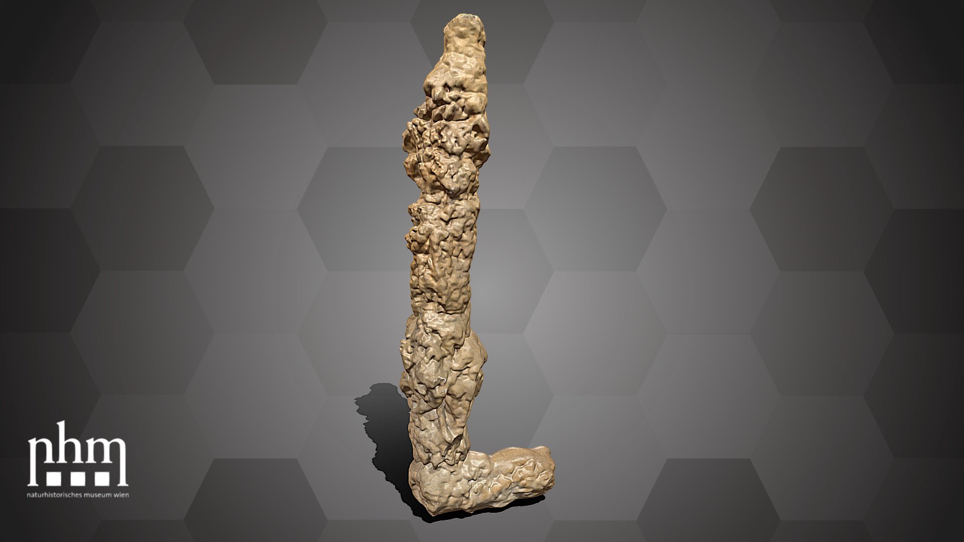 Stalagmite - Download Free 3D model by Natural History Museum Vienna (@NHMWien) [751b97a ...