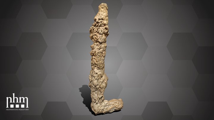 Stalagmite 3D models - Sketchfab