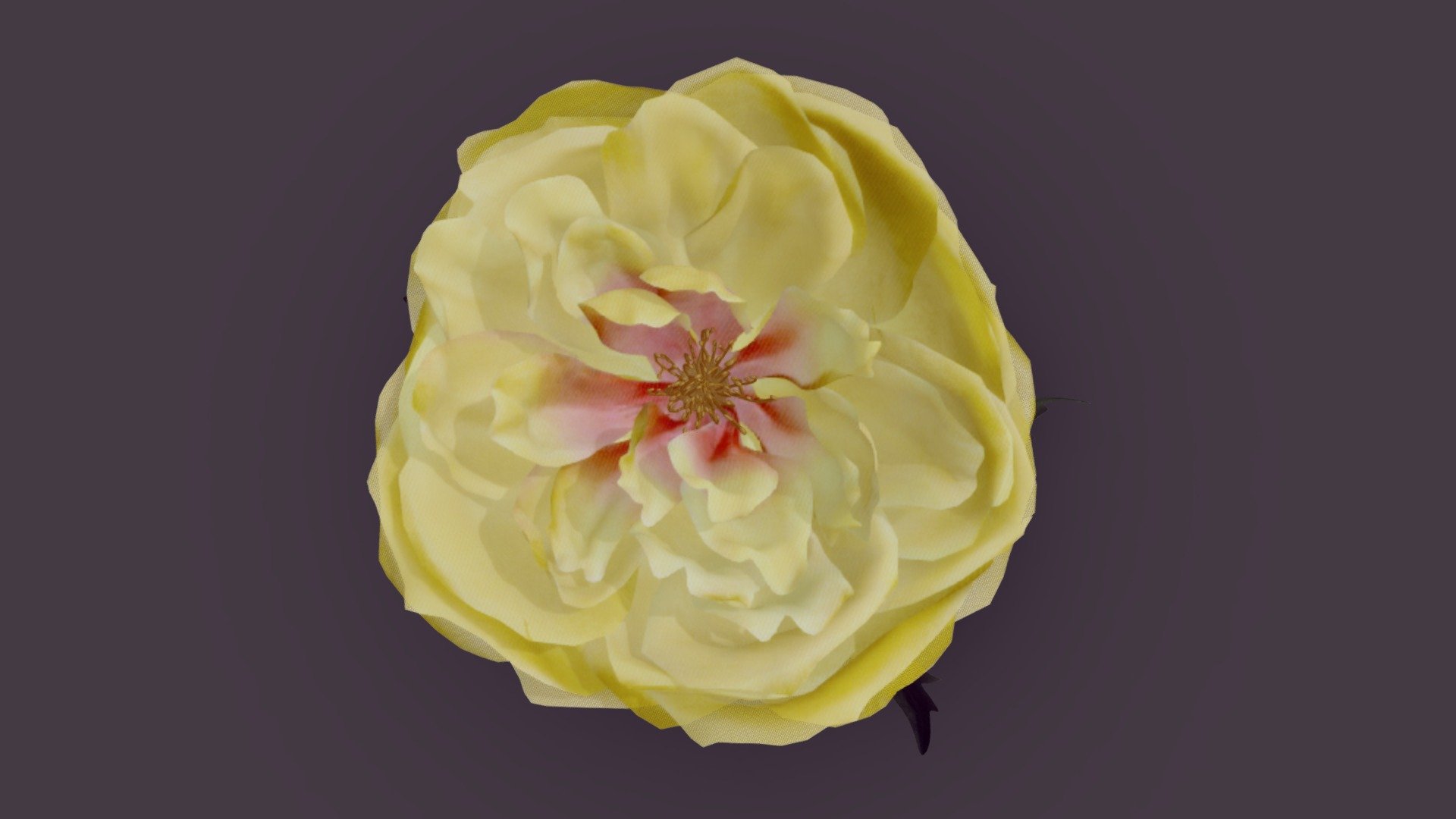 Yellow Rose - 3D model by GGGP (@gggp999) [751ecdb] - Sketchfab