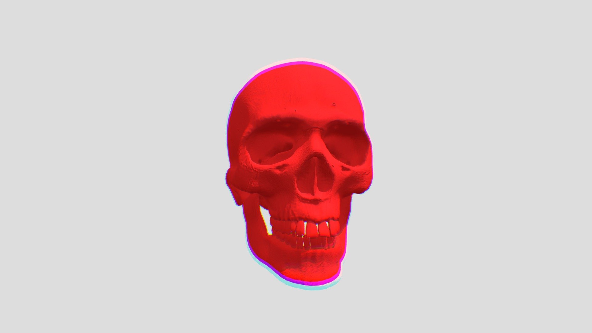 skull-downloadable - 3D model by pinky_paulson12345 (@hhcs.11770 ...