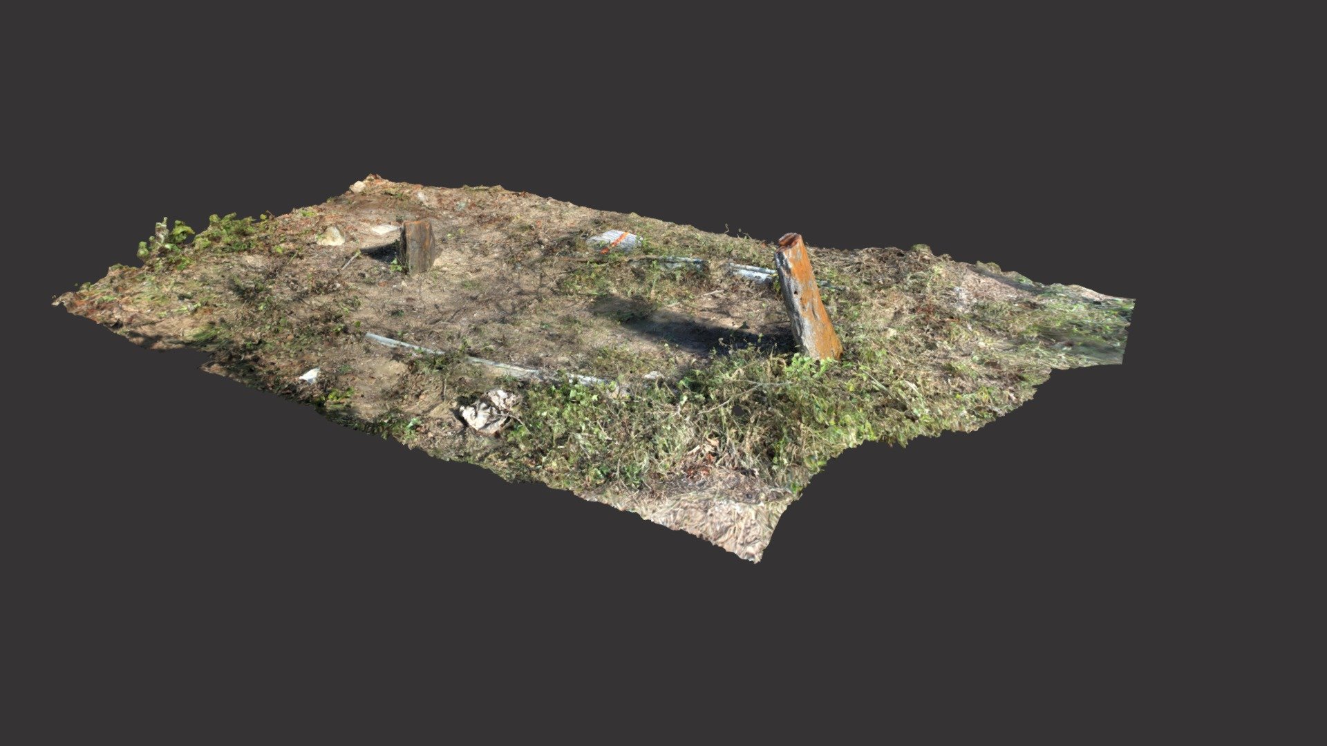 Petrified Wood (10.9.2021) - 3D model by lxheritage [7531355] - Sketchfab