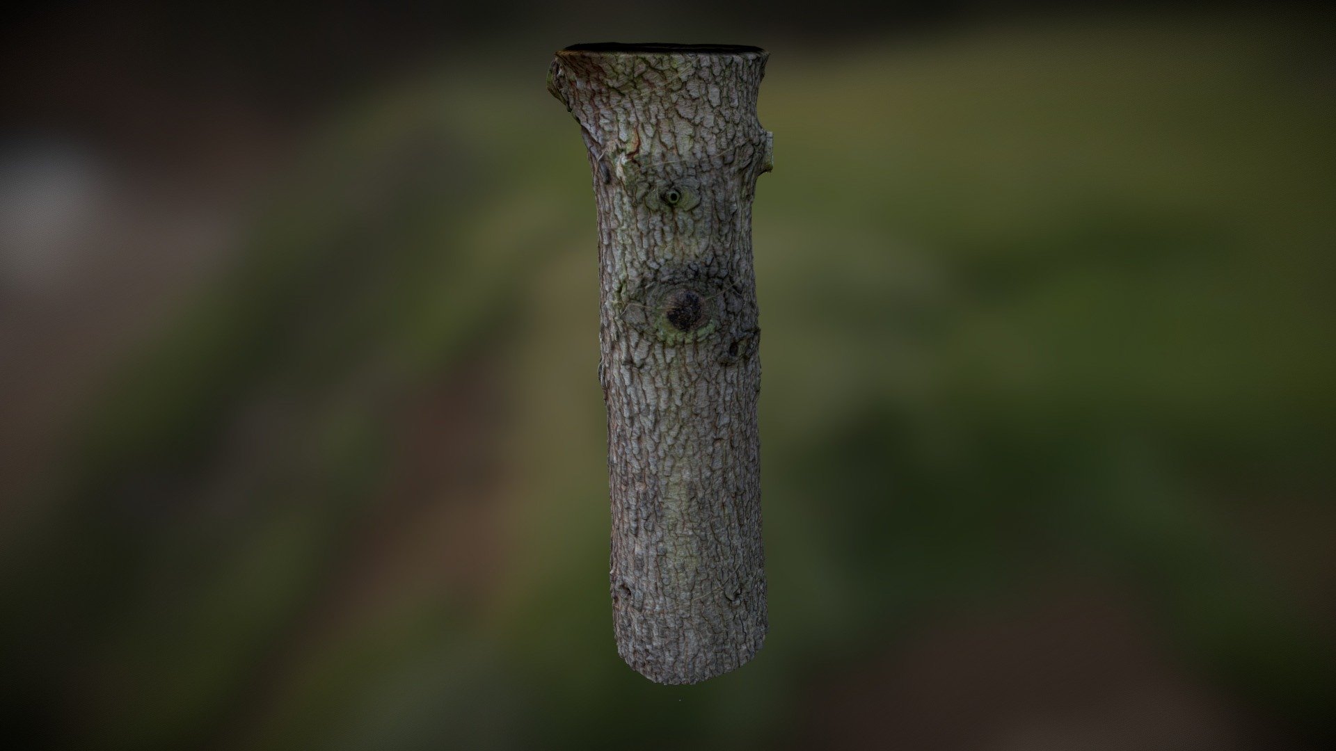 Tree - 3D model by kevintaylor [7531ad8] - Sketchfab