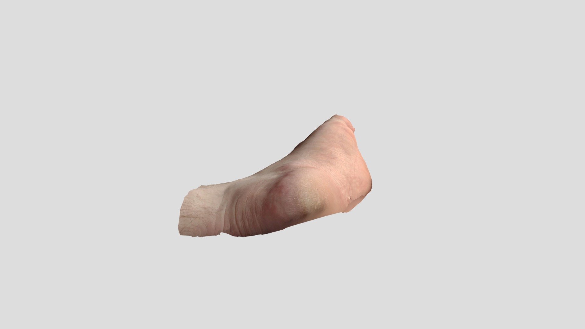 foot - Download Free 3D model by hattersley501 [7539455] - Sketchfab
