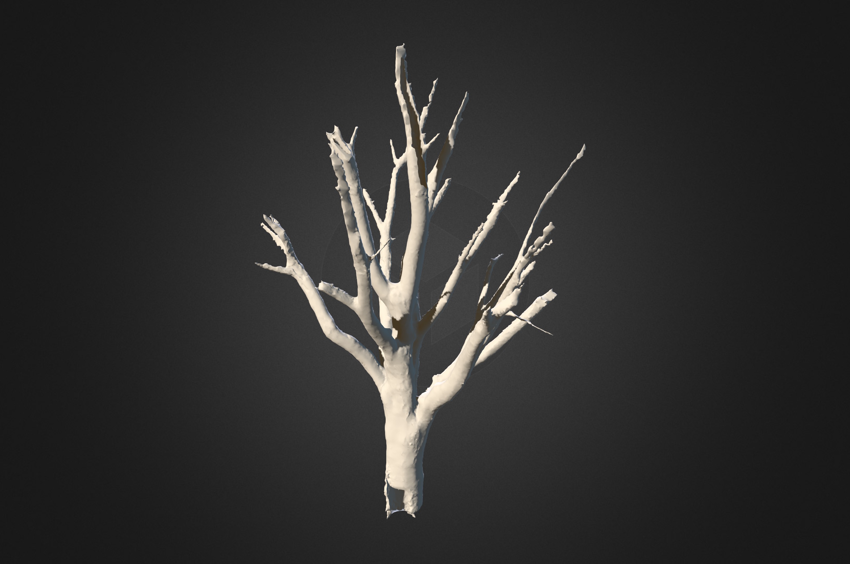 loring tree 3 - 3D model by brain_____heart [754989e] - Sketchfab