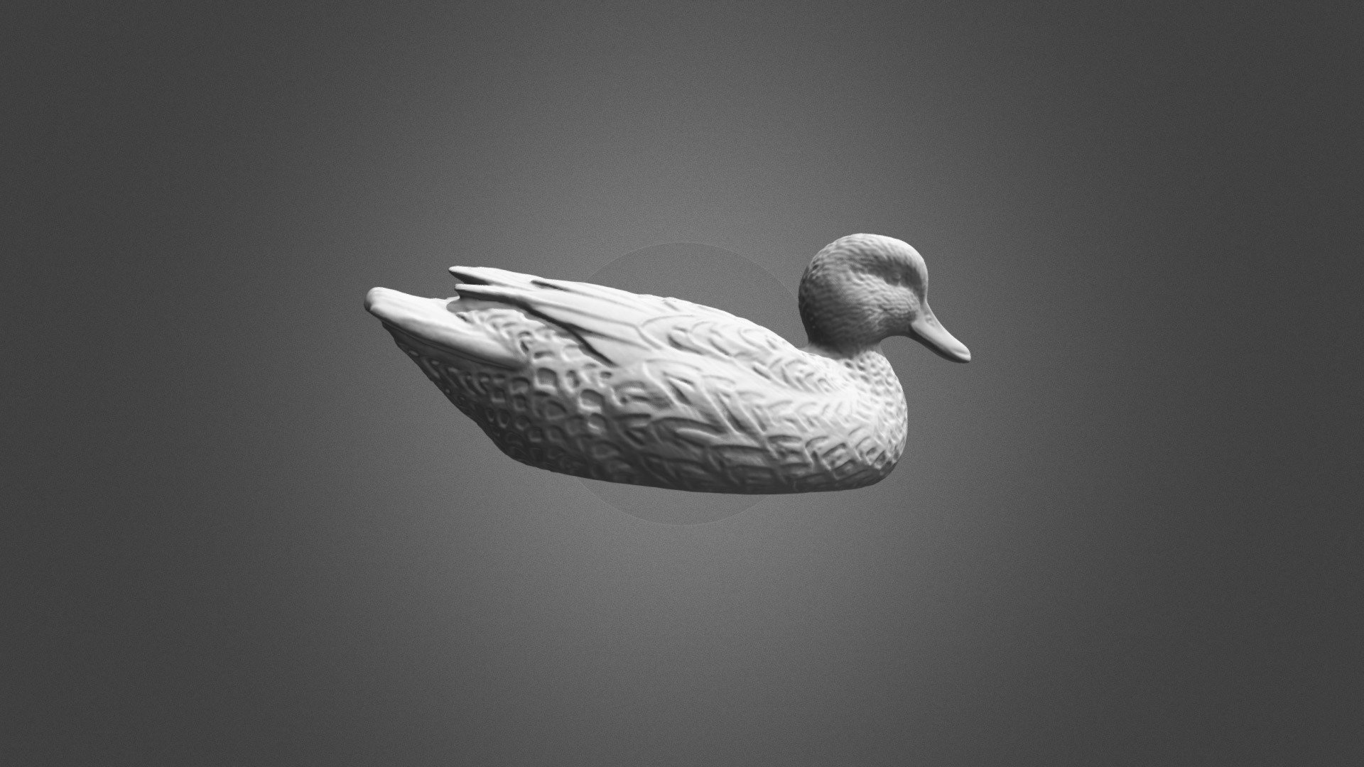 Duck Mesh by POP (obj) - 3D model by Revopoint 3D (@Revopoint3d ...