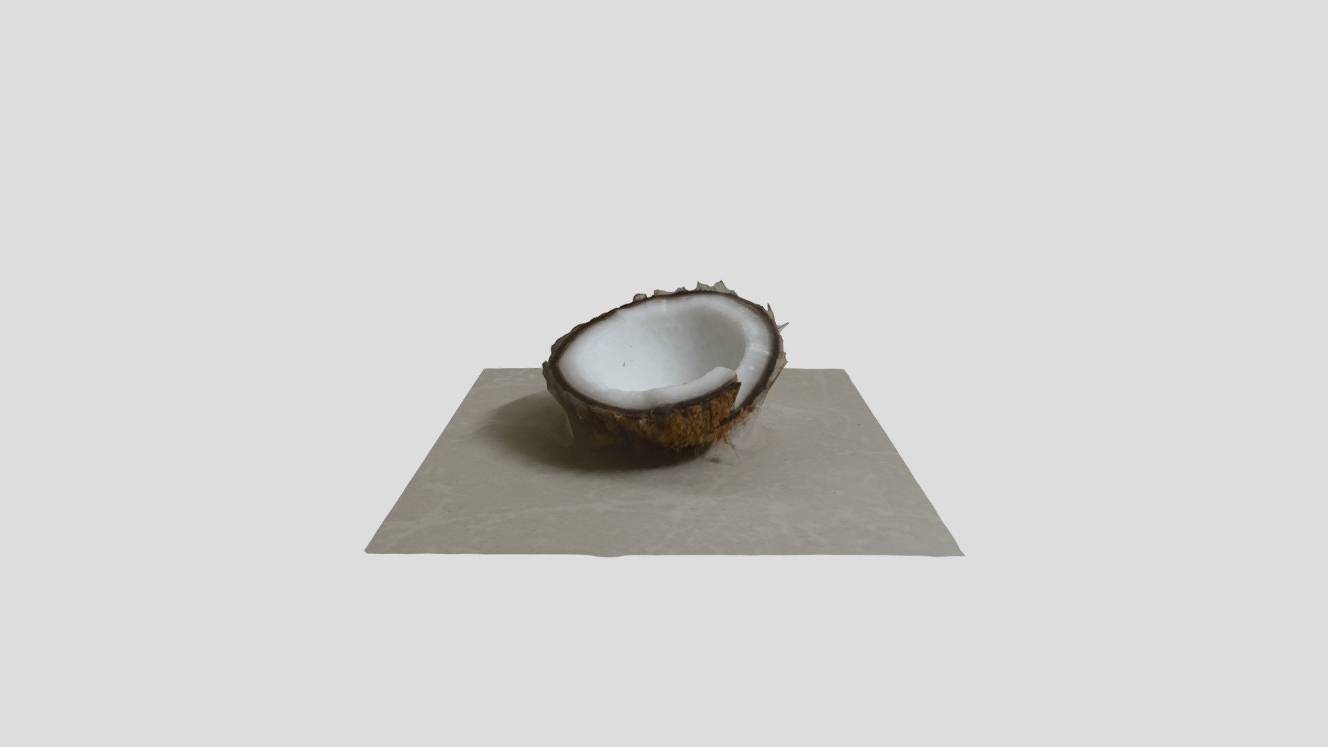 Coconut - Download Free 3D model by sarahshibup [754e0a2] - Sketchfab