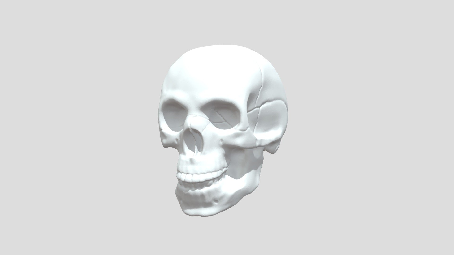 Skull No 7 - Download Free 3D model by Sierra_Wild [754f0f1] - Sketchfab