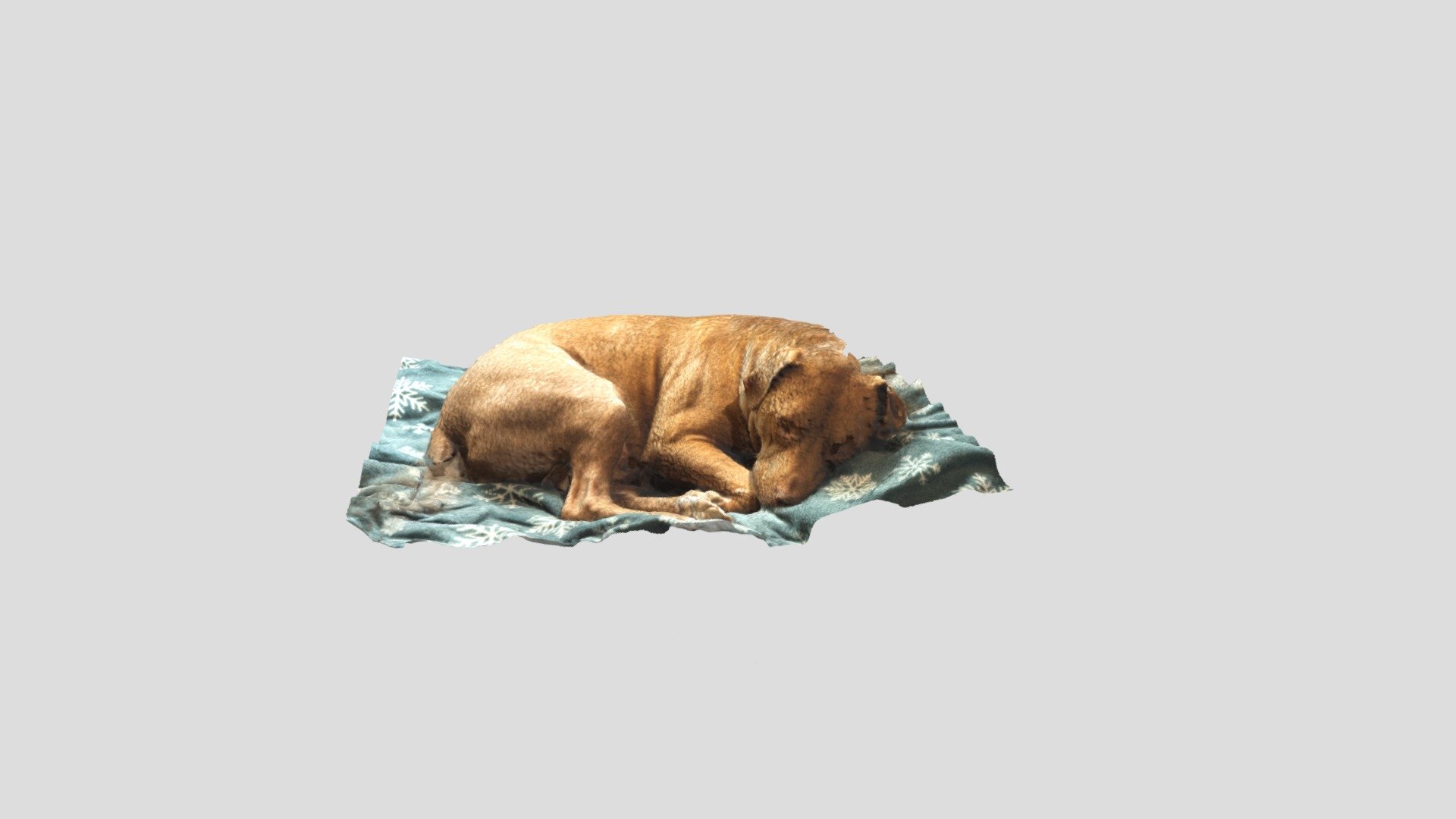 Buster - 3D model by t0ny77 [754fc74] - Sketchfab
