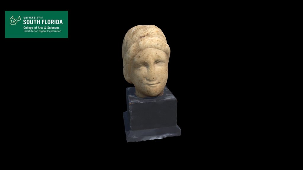Head Architecture - A 3D model collection by tymimagem - Sketchfab