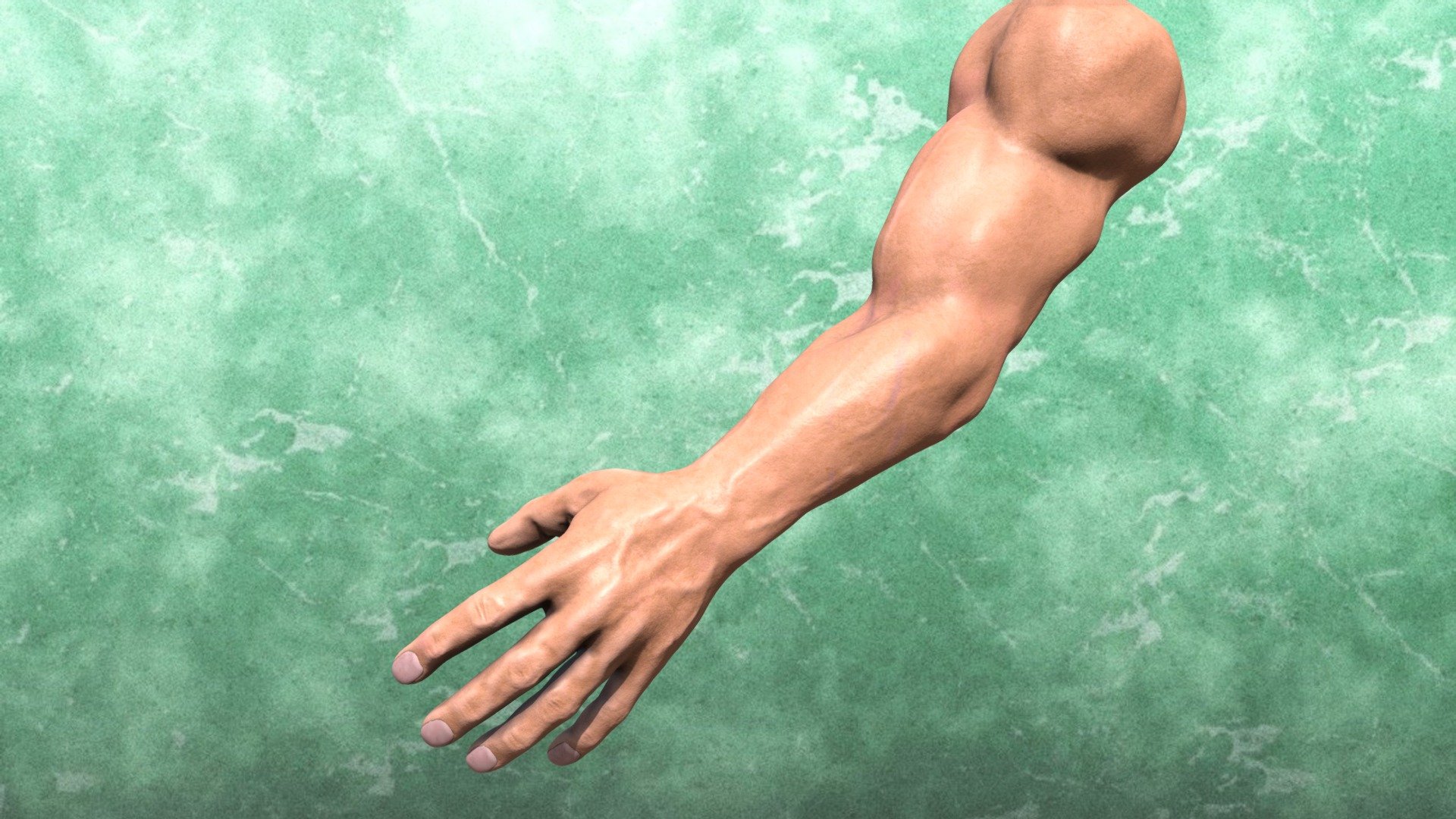 Hand and arm - Zbrush sculpt - Download Free 3D model by Andy Woodhead ...