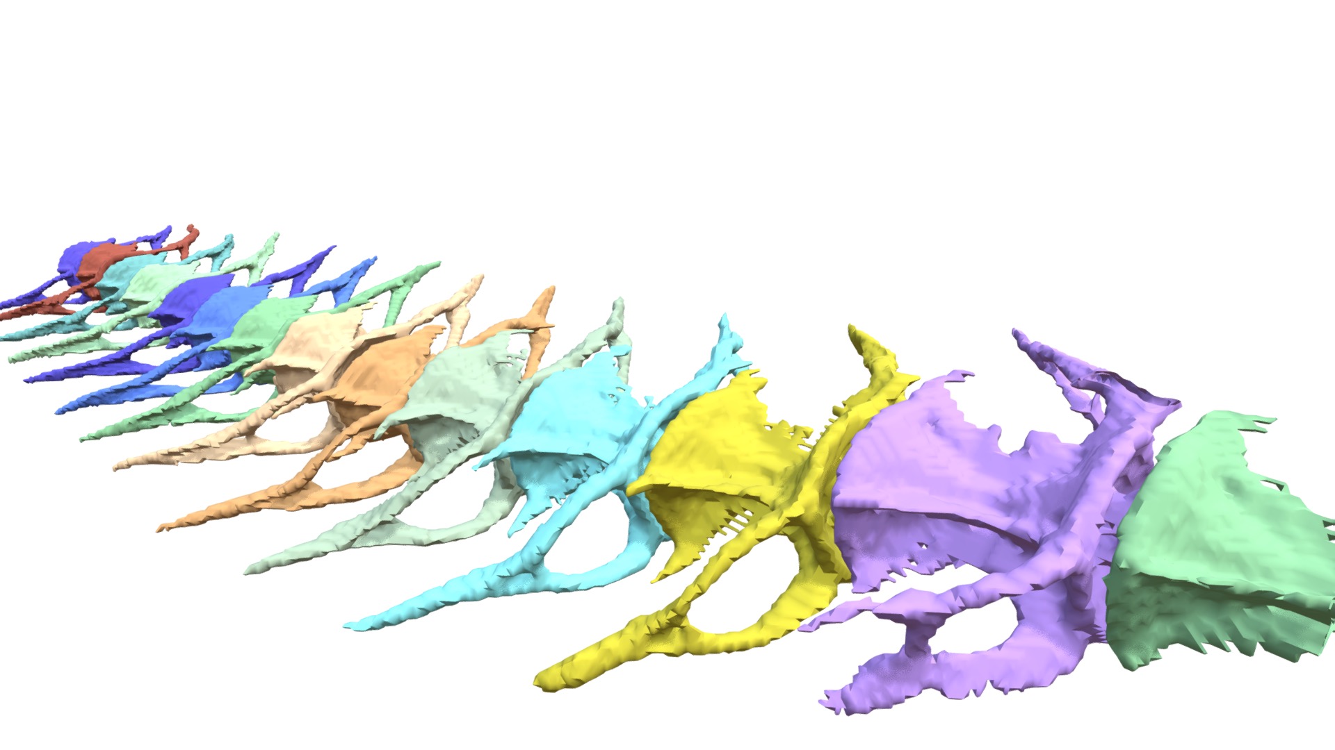 Zebrafish vertebrae - Download Free 3D model by Francesco_Turci ...