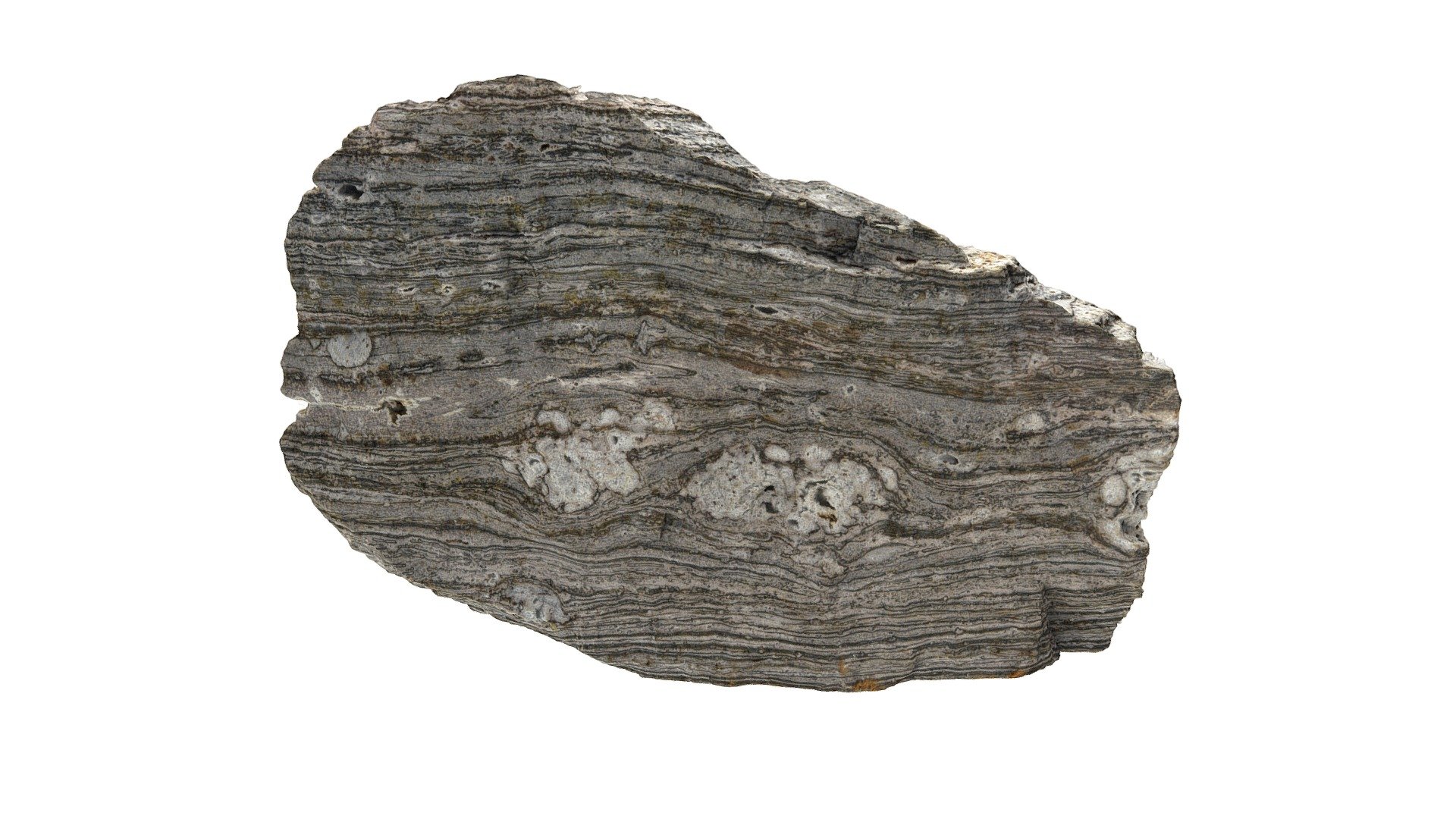 UTas_KEA208_A1 - 3D model by AusGeol.org (@AusGeol) [756903c] - Sketchfab