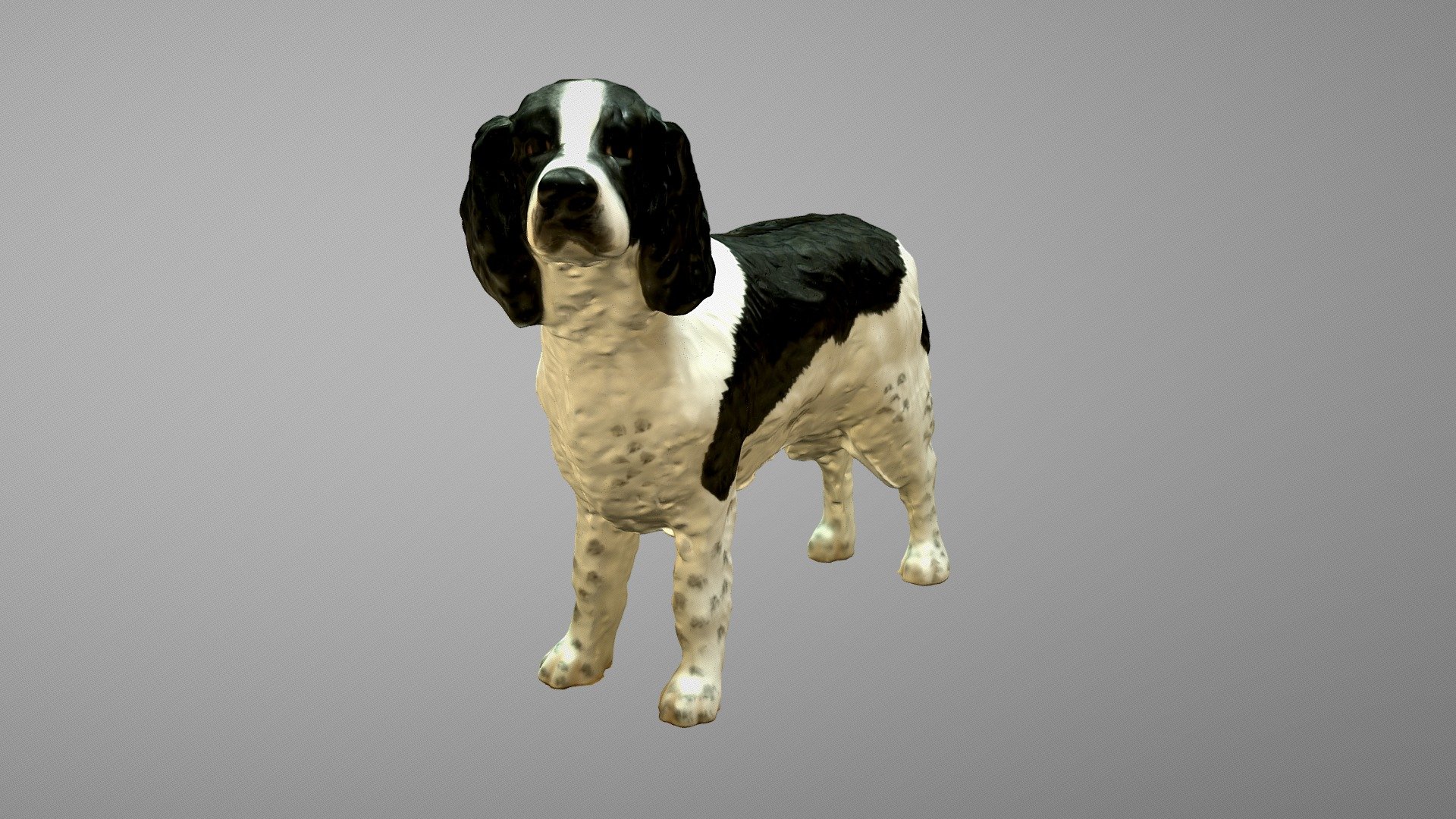 Dog_Model - Download Free 3D model by thomaswmanser [756a737] - Sketchfab